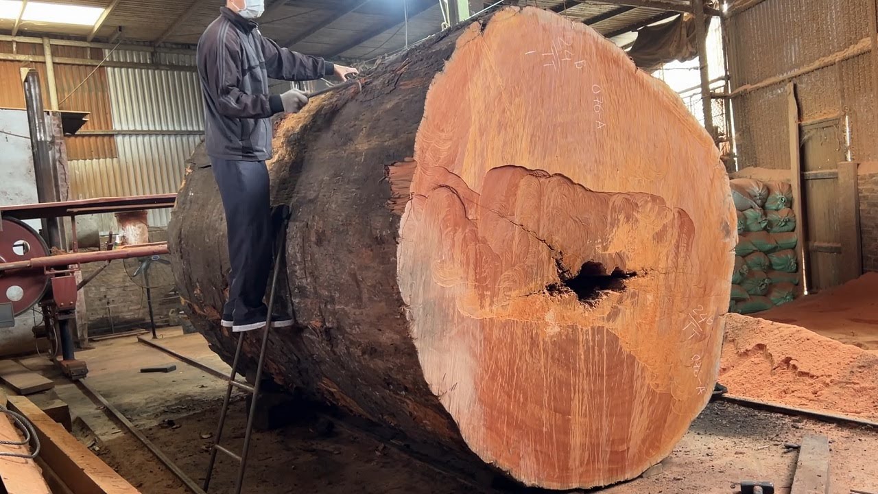 Amazing Sawmill Wood Cutting - Excellent Technique Of Working With ...