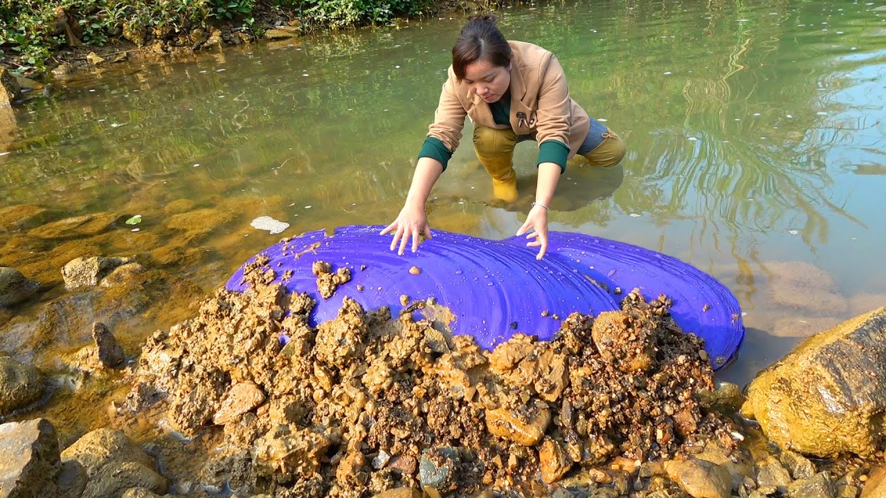 Mutated pearl clams gather in the water, as if guarding a huge treasure ...