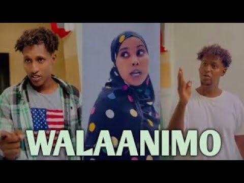 WALAALNIMO SOMALI SHORT FILM 2025 | LABO WIIL IYO GABADH WALAALO QISO ...