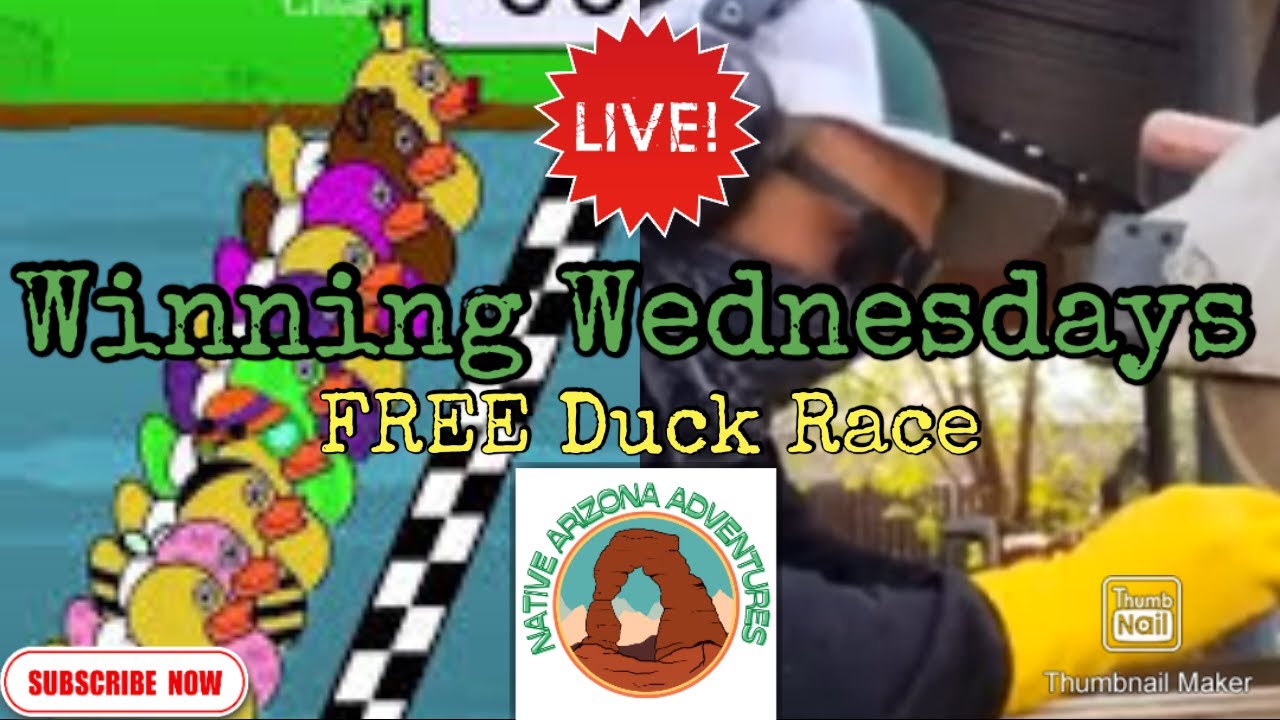 Winning Wednesday! Rock Cutting, Free Duck & FUN! - YouTube