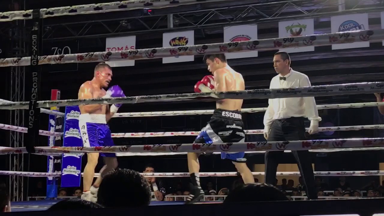 Hector " El Werito " Escobar 122 lbs Super Bantamweight De Culiacán ...