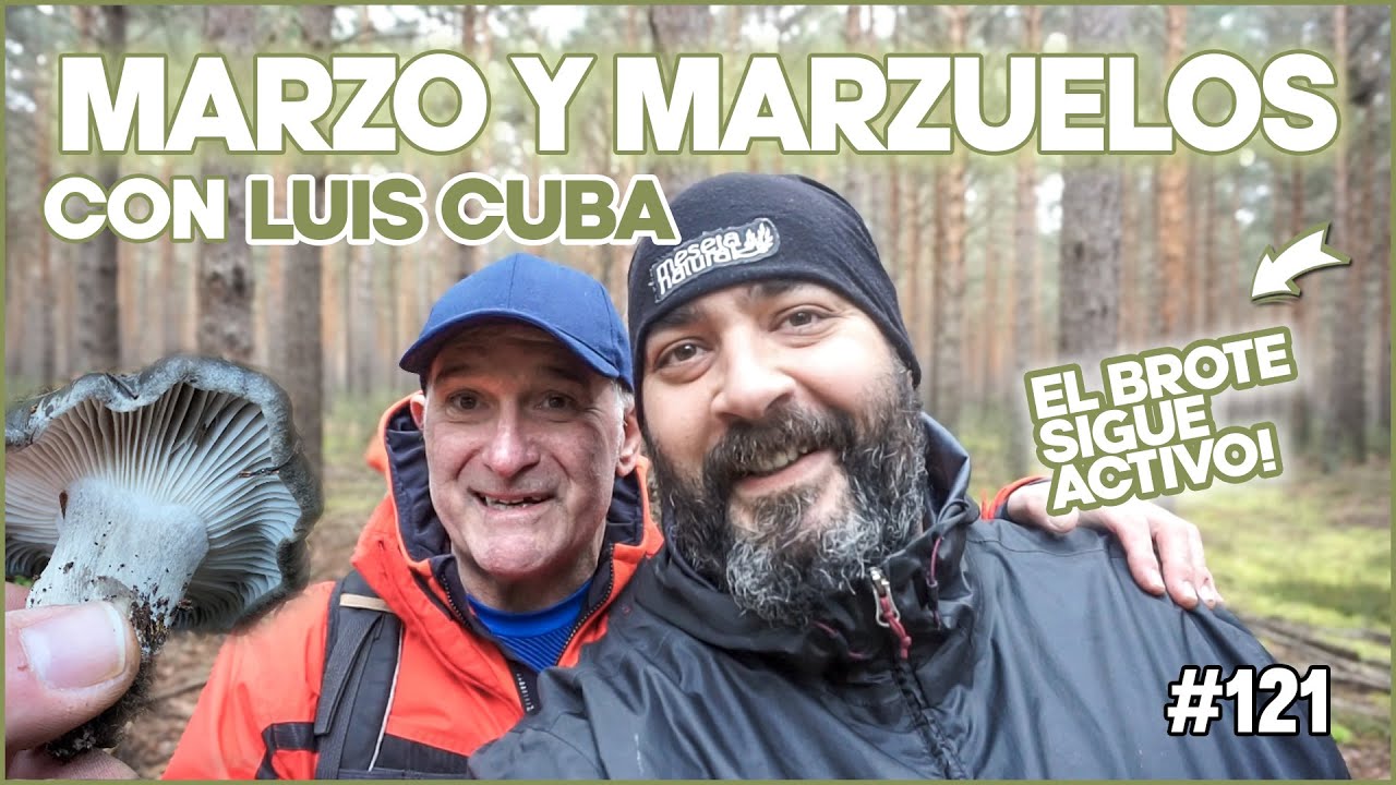 Llegó Marzo y con él... Mas Marzuelos | Jornada Micológica con Luis Cuba - YouTube