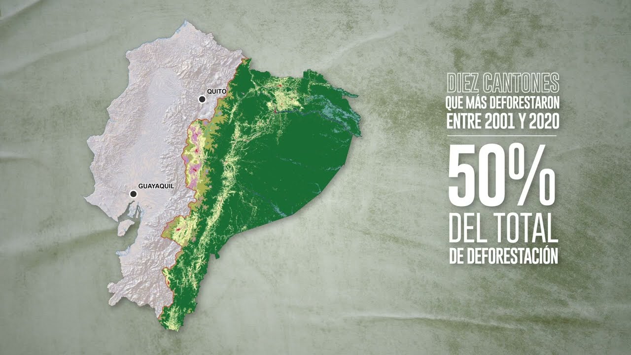 Resultados del mapa de deforestación en la Amazonía ecuatoriana - YouTube