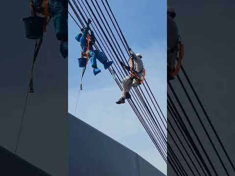 crane wire greasing............ #shipping #ship #newvideo #newshorts # ...