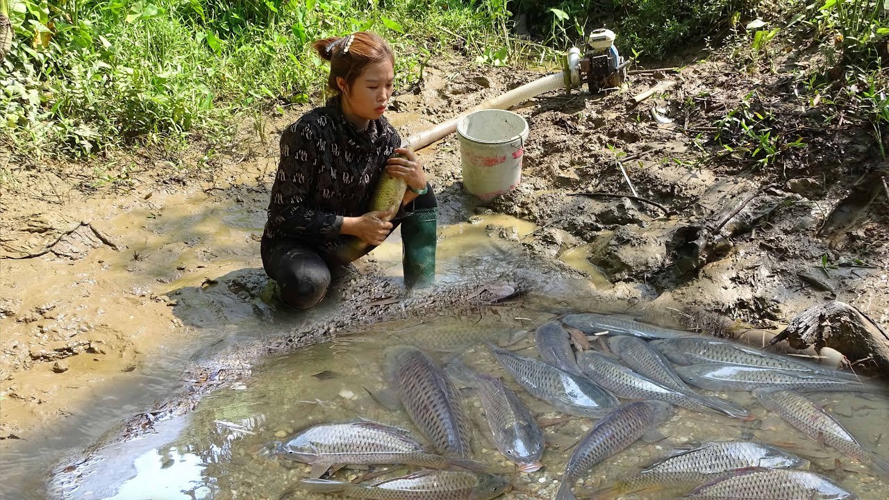 Hunting wild fish | Using a pump, pumping water outside the natural ...