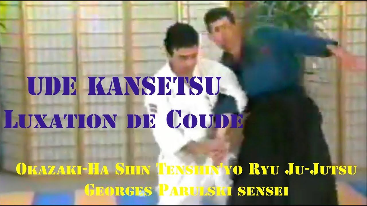 Okazaki-Ha Shin Tenshin'yo Ryu Ju-Jutsu - Ude Kansetsu (luxation du ...