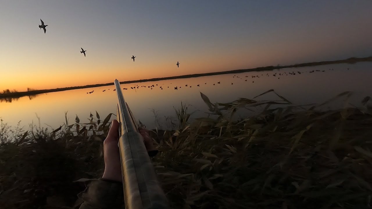 Last Day of Tough Duck Season - Solo Duck Hunting - YouTube
