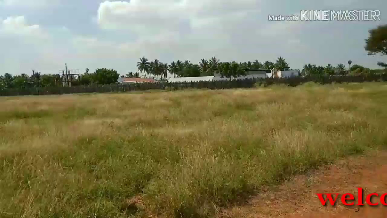 Tamil nadu vlog my wark house see - YouTube