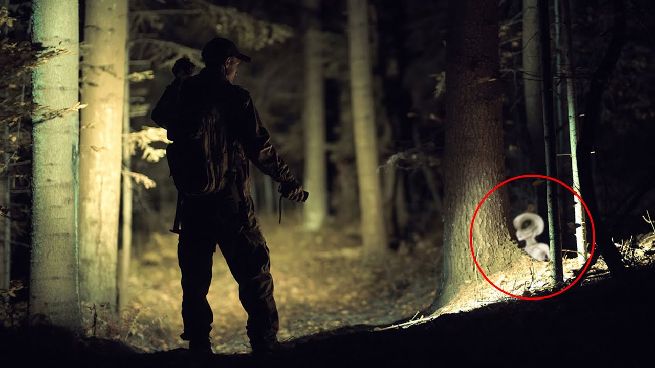 10 Forests So Mysterious People Are Afraid to Enter - YouTube