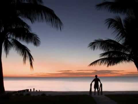 Robin Foster ''Life Is Elsewere'' - YouTube