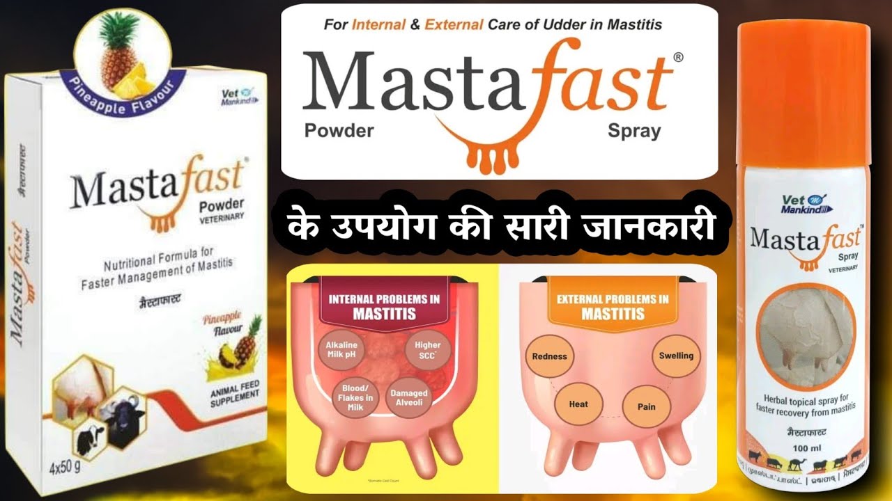 mastafast powder !! mastafast spray uses in hindi !! mastitis treatment ...