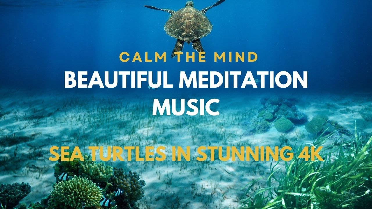 Beautiful and Soothing Meditation Music for Peaceful Relaxation ...