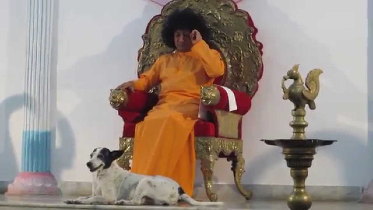 Balasai Baba mit Hund in Kurnool 2013 - YouTube