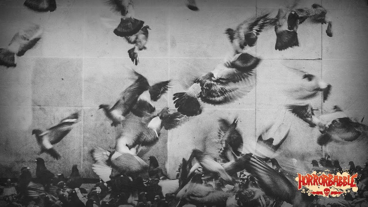 "Pigeons from Hell" by Robert E. Howard - YouTube