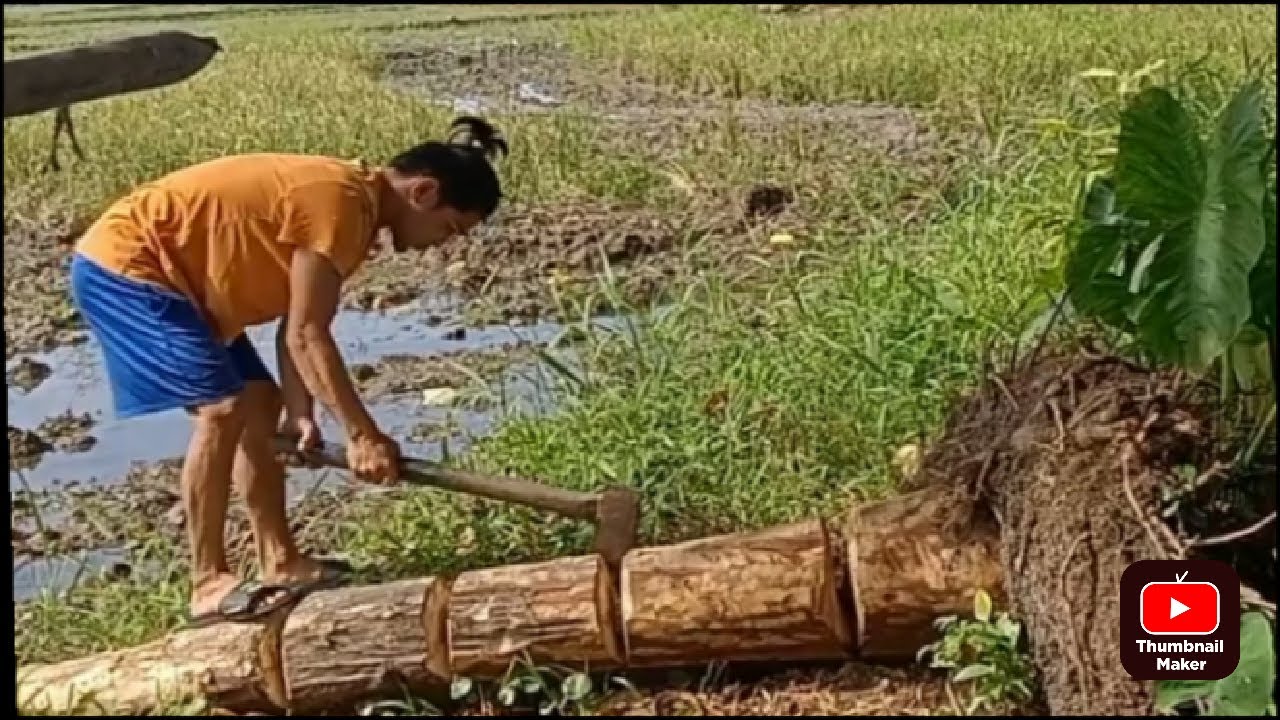 SIBAK | KAHOY - YouTube