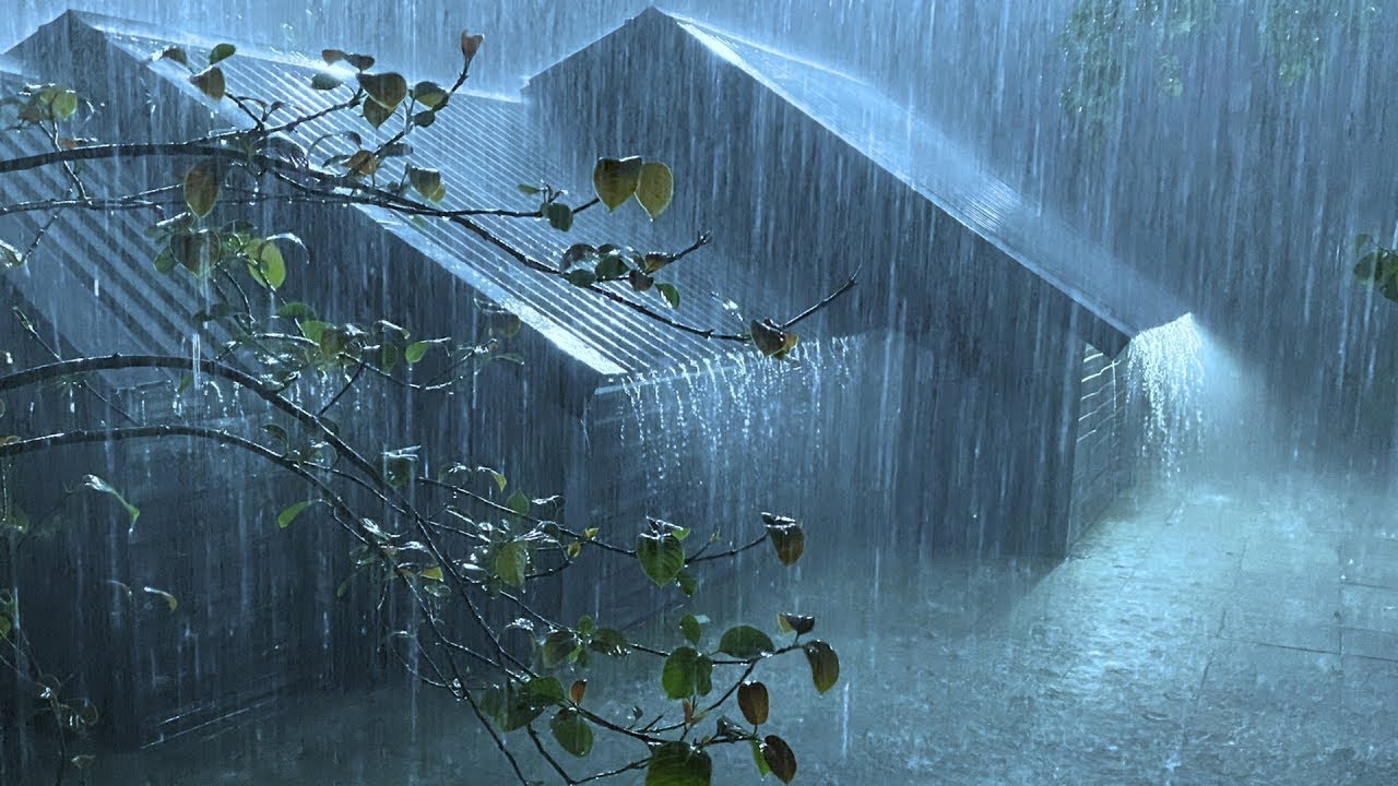 Whispers of the Rain: A Tranquil Soundscape for Meditation and ...