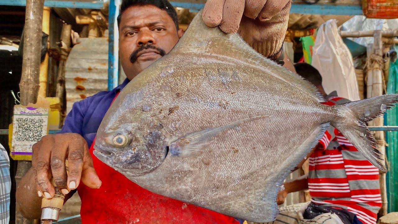 KASIMEDU 🔥 SPEED SELVAM | BIG POMFRET VAVAL FISH CUTTING VIDEO | 4K ...