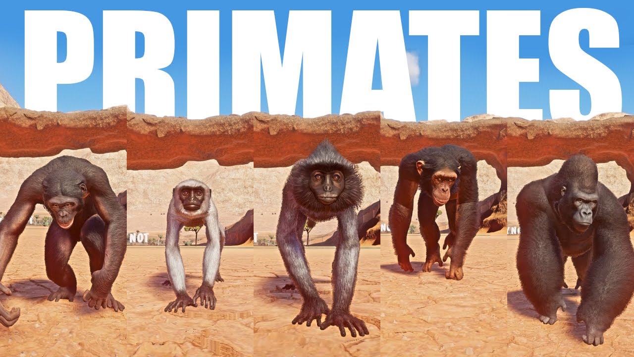 Primates Category Speed Races in Planet Zoo included Hanuman Langur ...