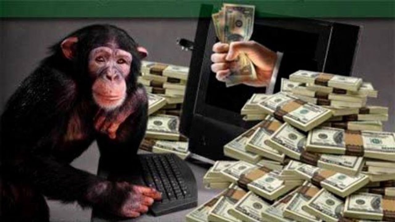 Monkey Economics - YouTube