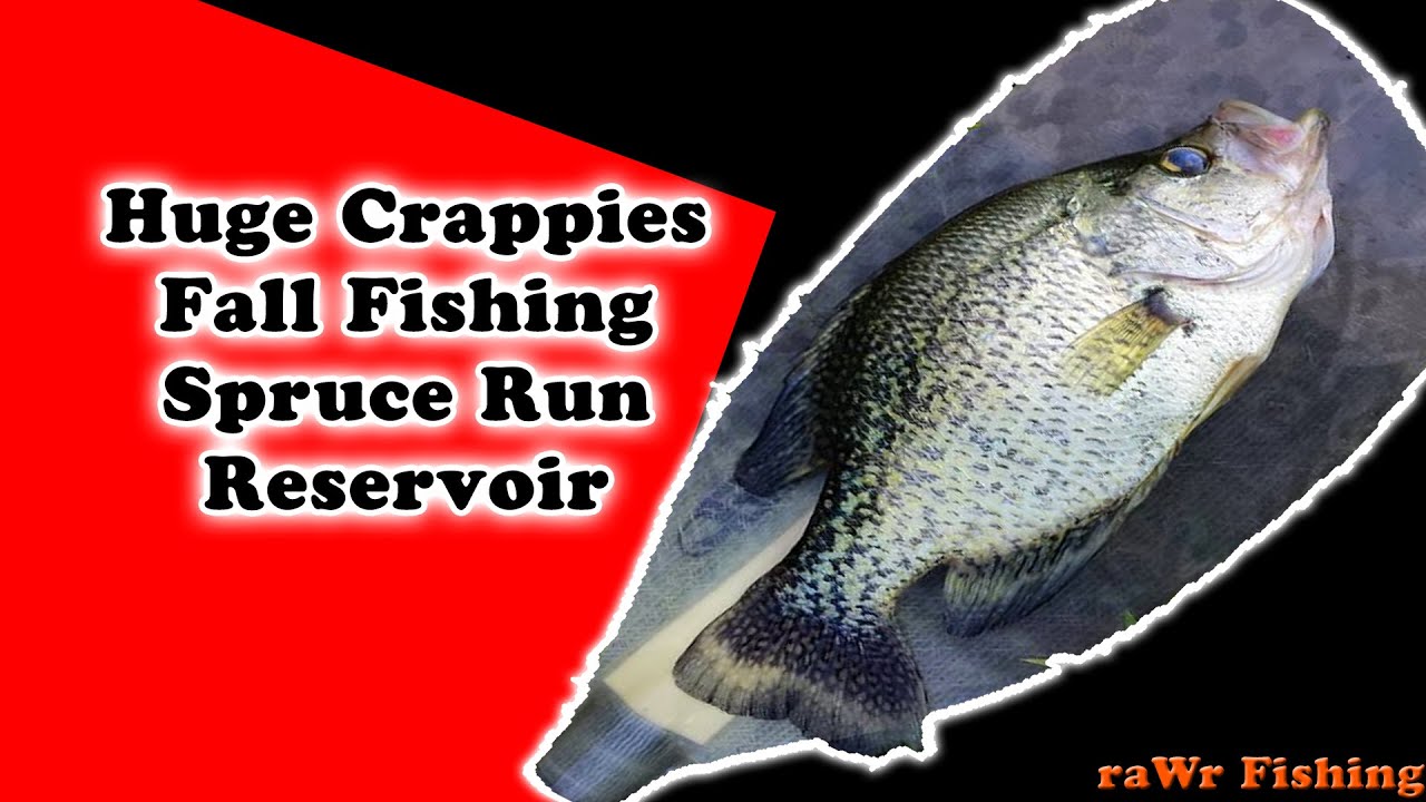 Fishing Double Drop shot for Fall Crappies - Kayak Fishing Spruce Run ...