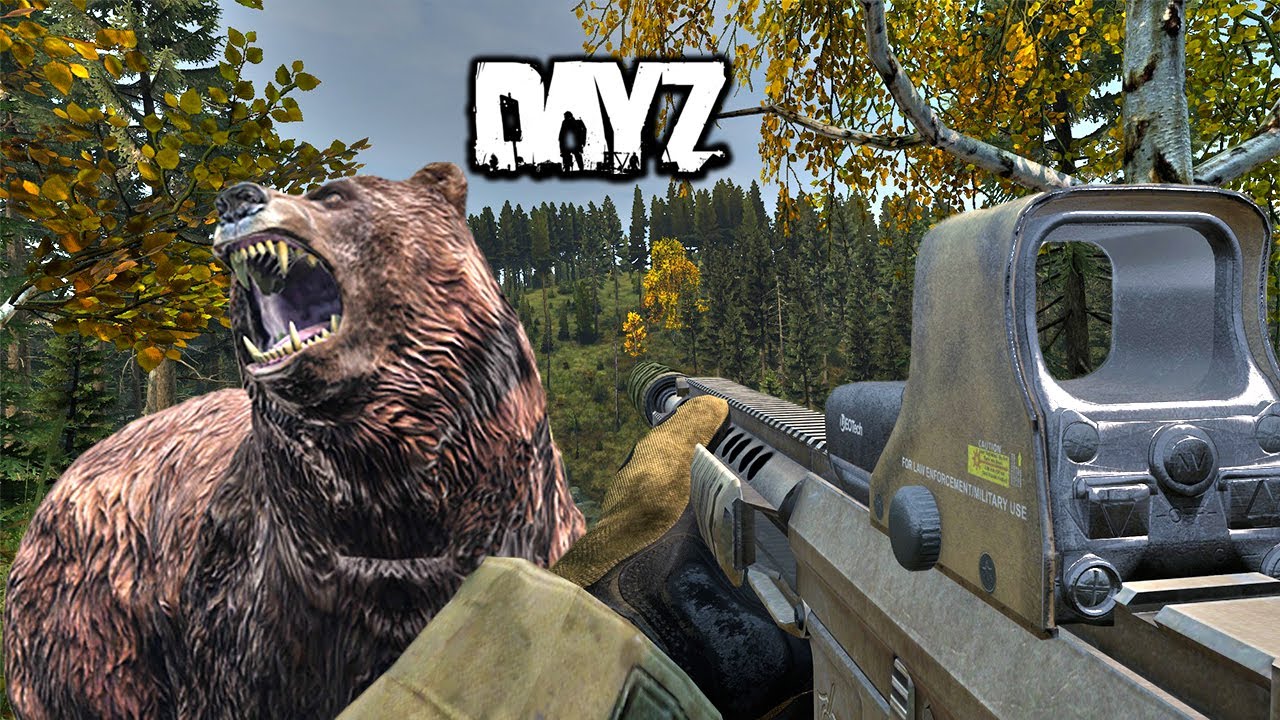 3 Different Bear Attacks! - DayZ Chapter 8 - YouTube
