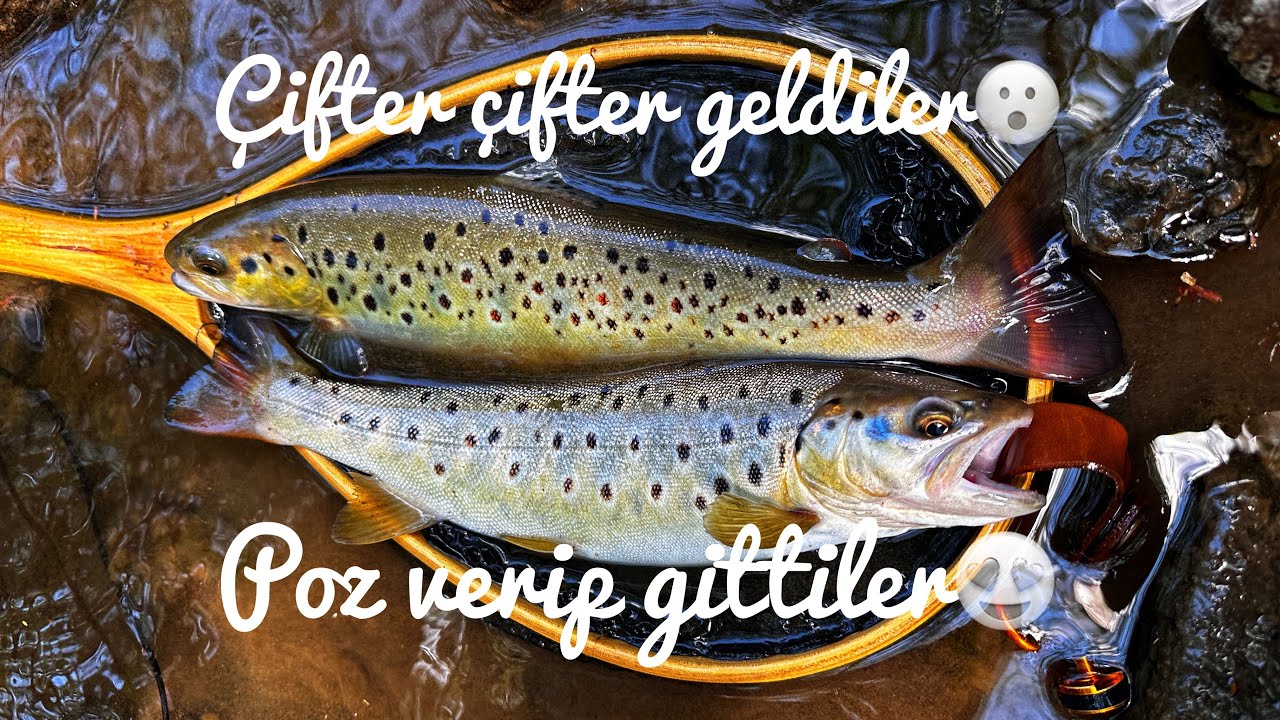 yok böyle alabalık avı(çifter çifter) - YouTube