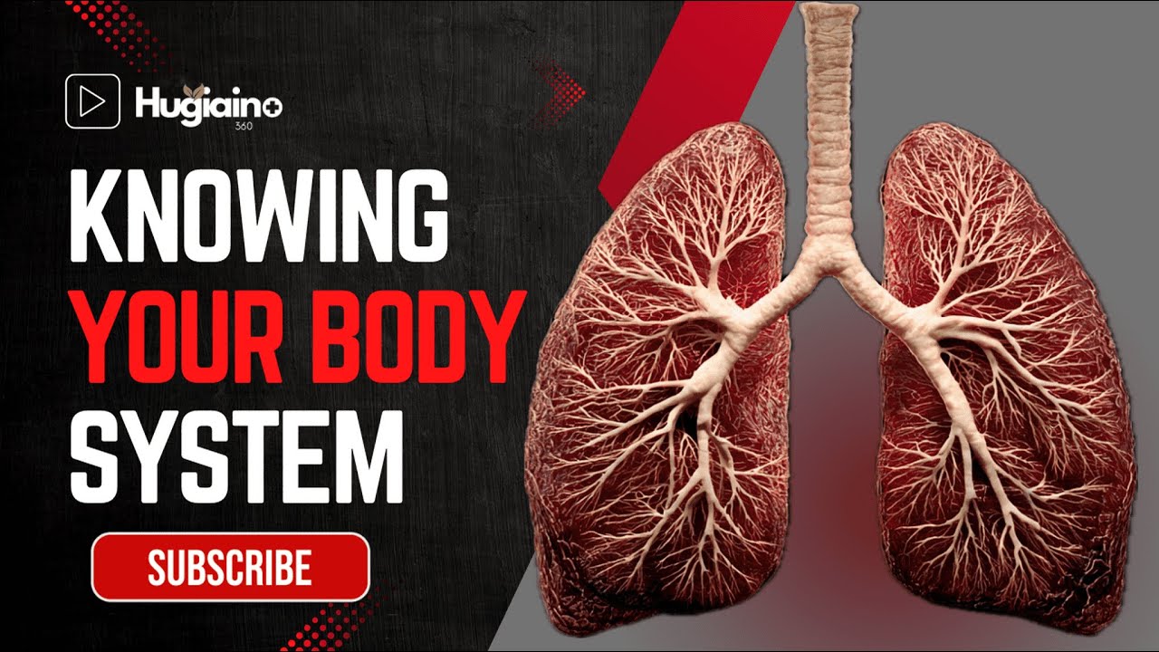 Health 101: Knowing Your Body System | Brain, Heart, Lungs & More ...