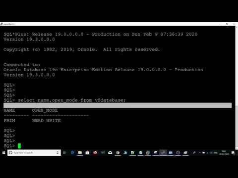 Oracle Shell scripting Live | Live session 7 - YouTube