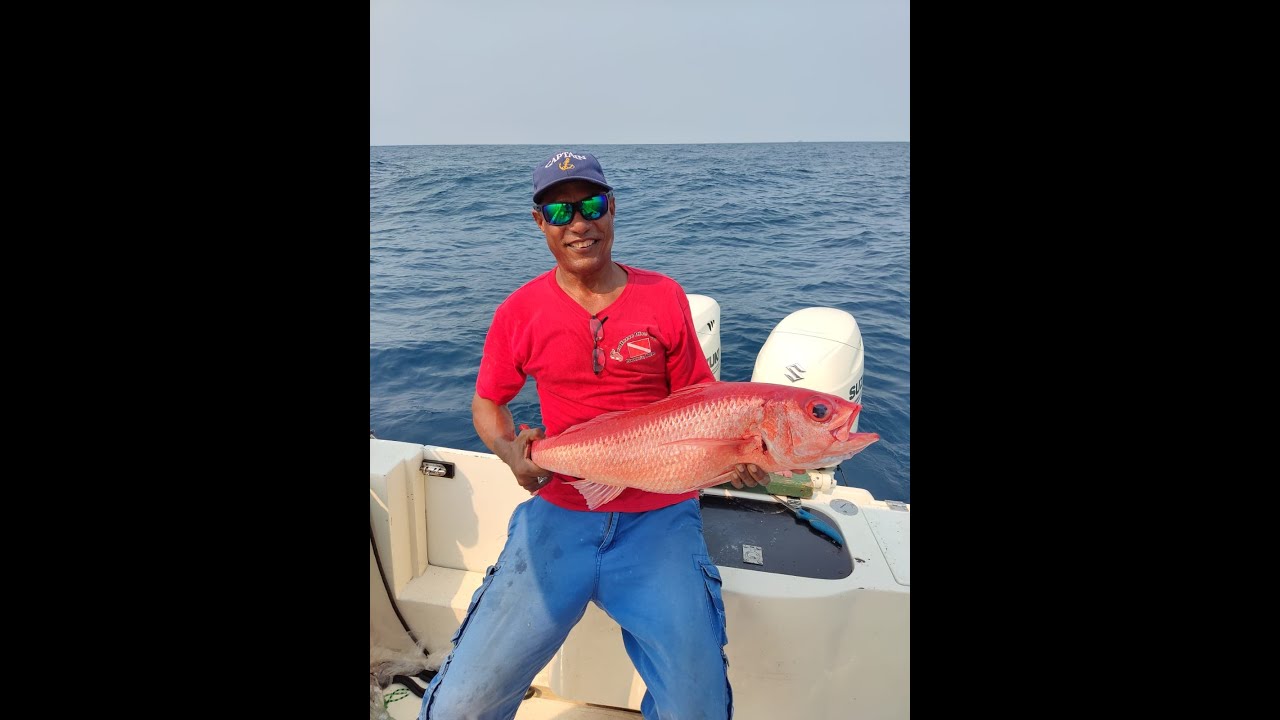 #QUEEN SNAPPER FROM 1500 FT #PLACENCIA#BELIZE - YouTube