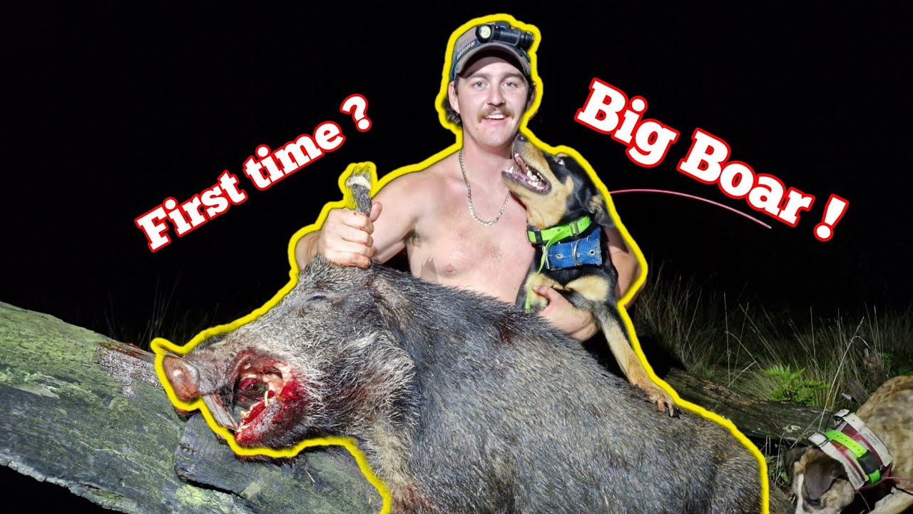 BROKEN LEG WHILE PIG HUNTING WITH DOGS!!!! - YouTube