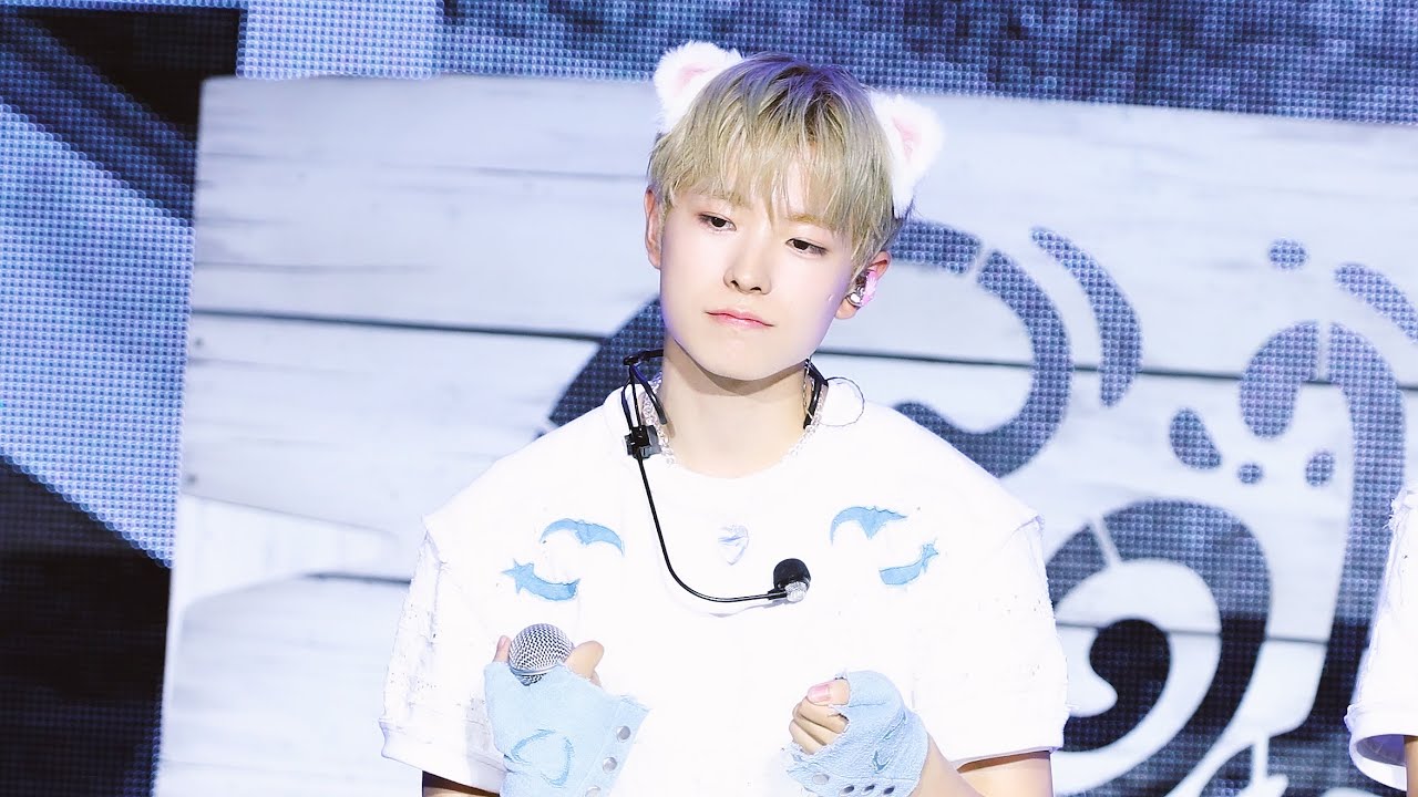 250902 NCT WISH COLOR PALETTE 고양이 릴스(Reel-ationship) 엔시티 위시 유우시 직캠 ...