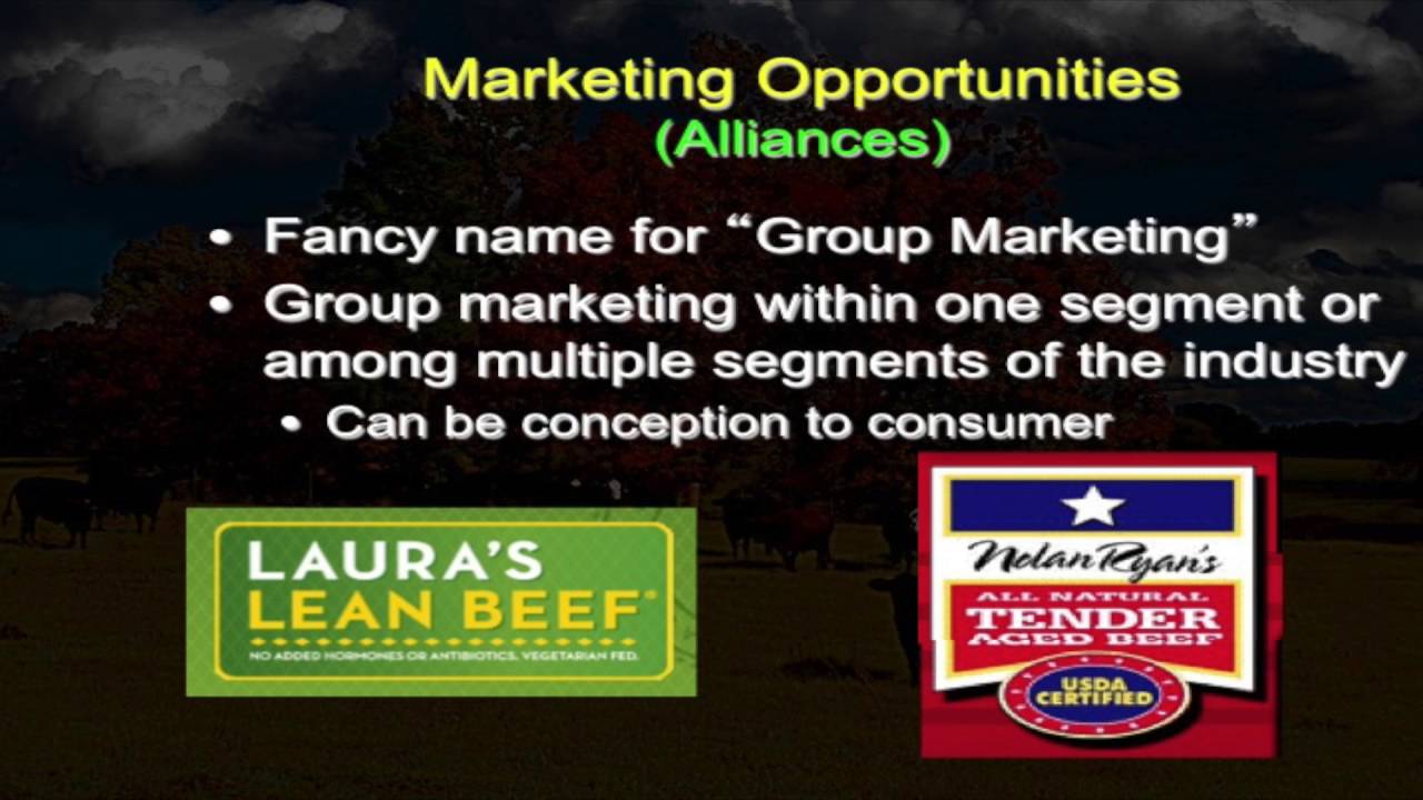 Lecture 18 part 9- Direct Marketing Beef Cattle - YouTube