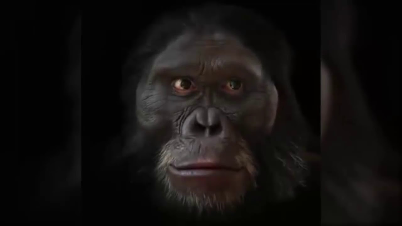This Is How We Evolved In Last 6 Million Years | EVOLUTION OF HUMANS ...