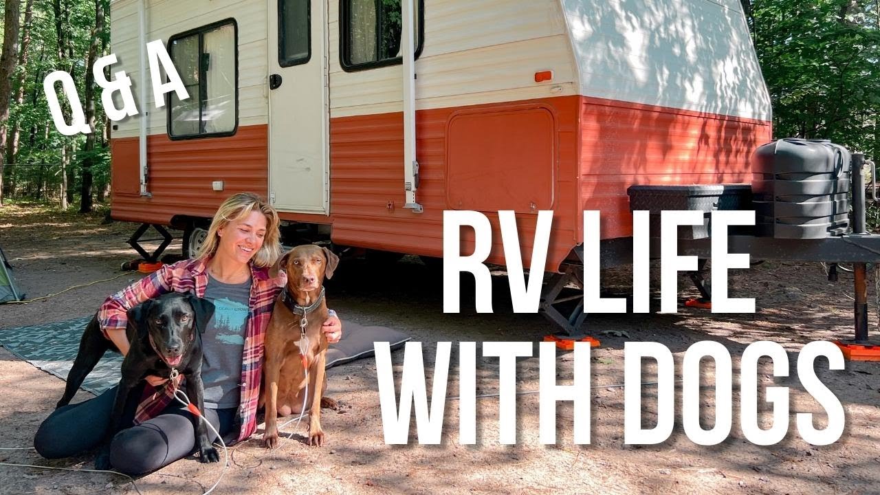 Full time RV living with dogs // top questions - YouTube