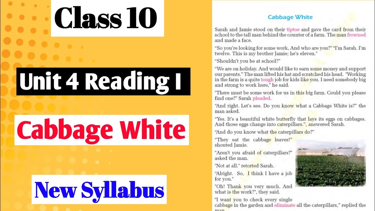 Class 10 English Unit 4 Reading I Cabbage White All Excercise Solution ...