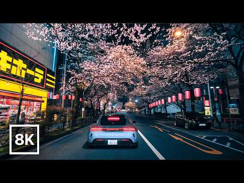 Tokyo Night Drive in Cherry Blossom Season 🌸 / 8K 60fps HDR / Relaxing Piano Music