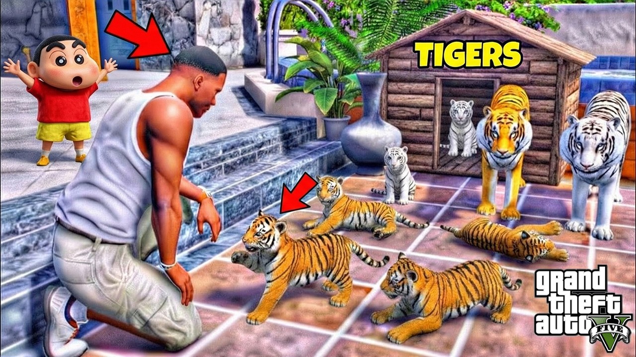 Franklin Found Tigers Secret Babies in GTA 5 - YouTube