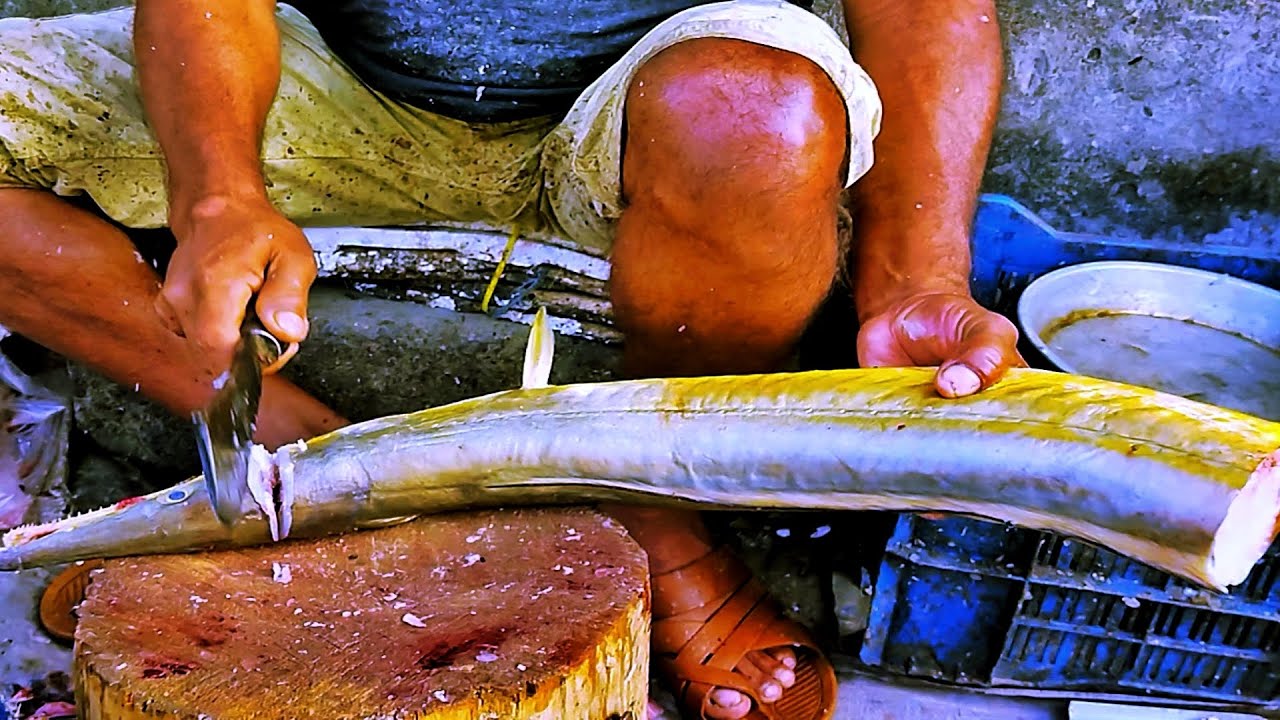 Amazing Big Garfish Cutting skills | Big Eel Fish Curter By Fish Market ...