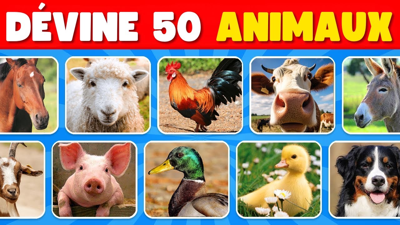 Devine 50 ANIMAUX en Seulement 6 secondes | Quiz de Culture Générale | Buzz Quiz - YouTube