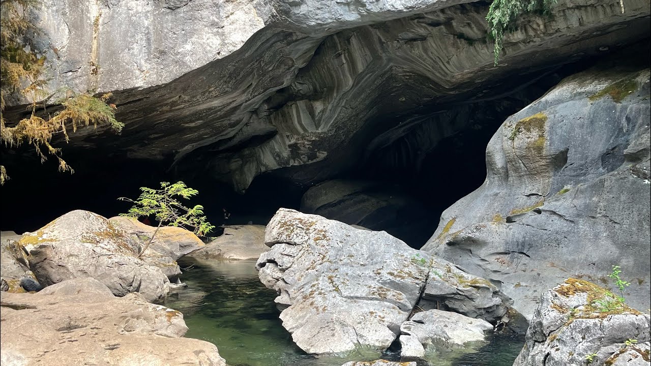 Little Huson Caves Park on Vancouver Island - Hike with a Dog! - YouTube