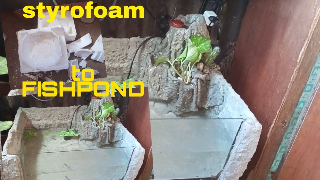 DIY FISHPOND...FISHPOND USING STYROFOAM - YouTube
