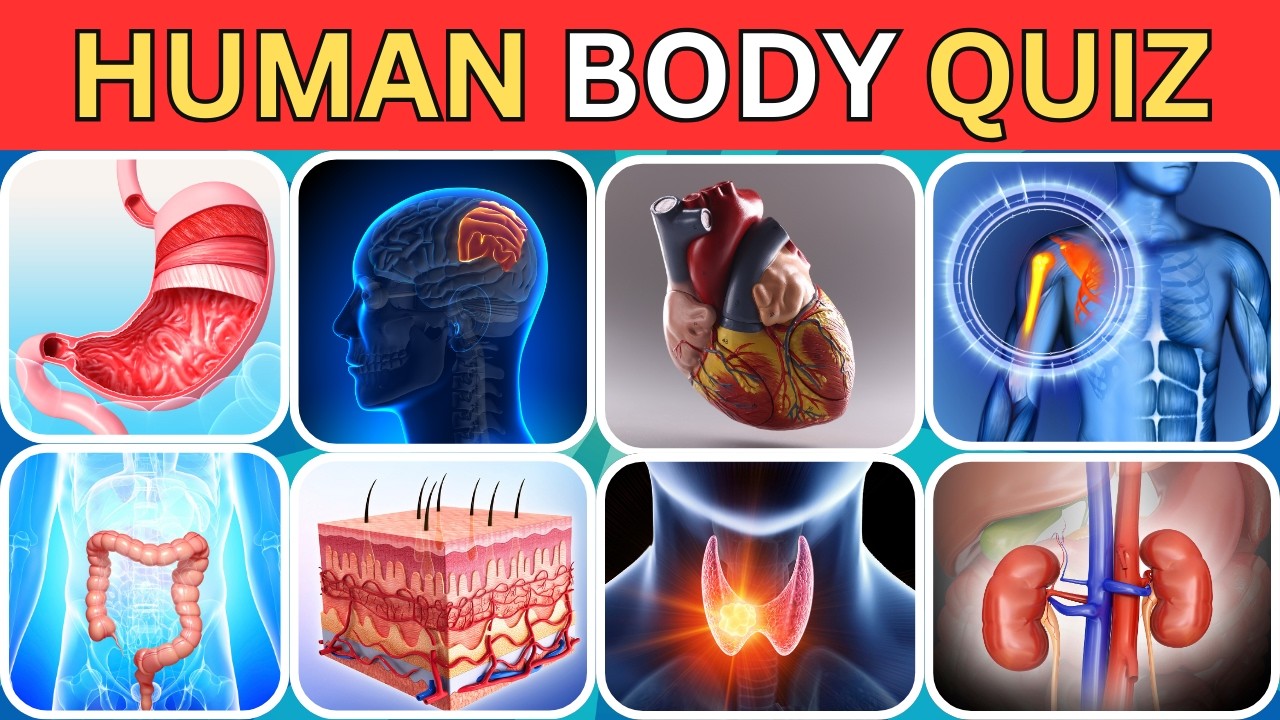 Can You Guess The Human Body Parts?|General Knowledge Quiz - YouTube