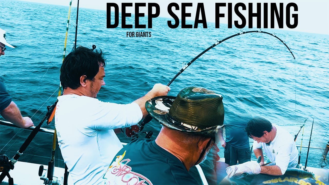 Deep Sea Fishing (Fish Everywhere) - YouTube