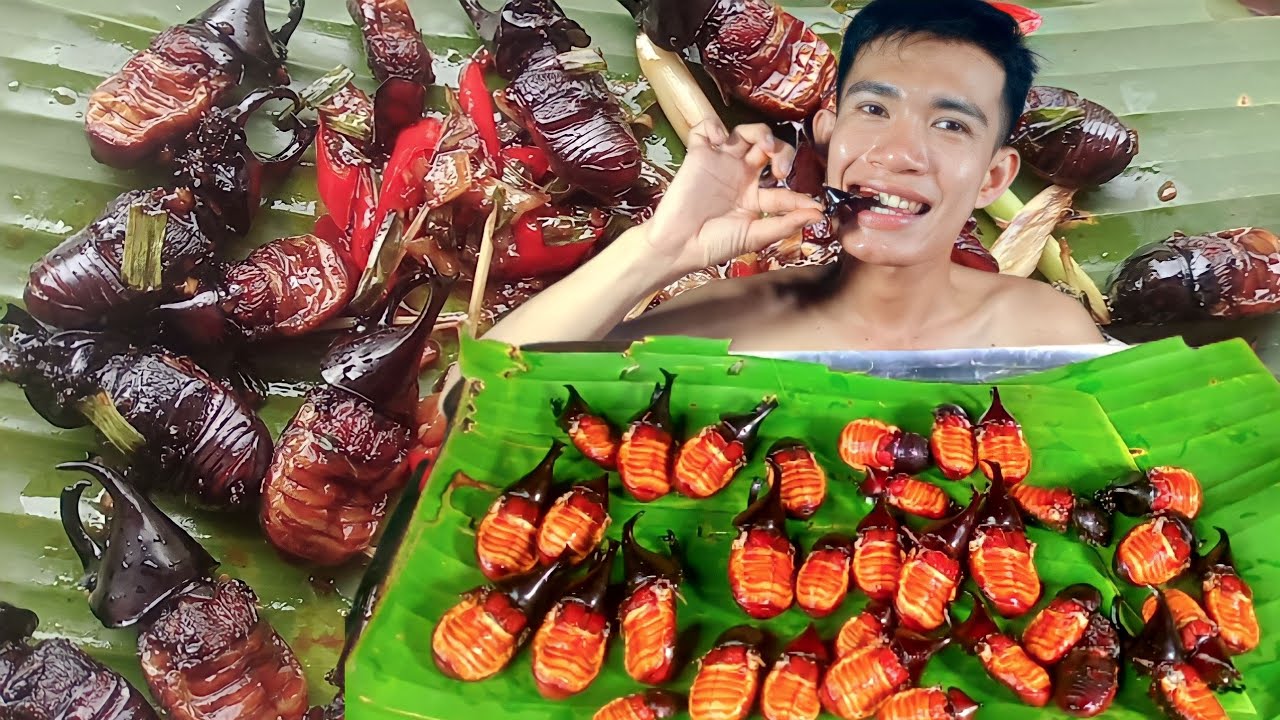 catch rhino beetle cook with spicy chilli ,eating rhino beetle recips# ...