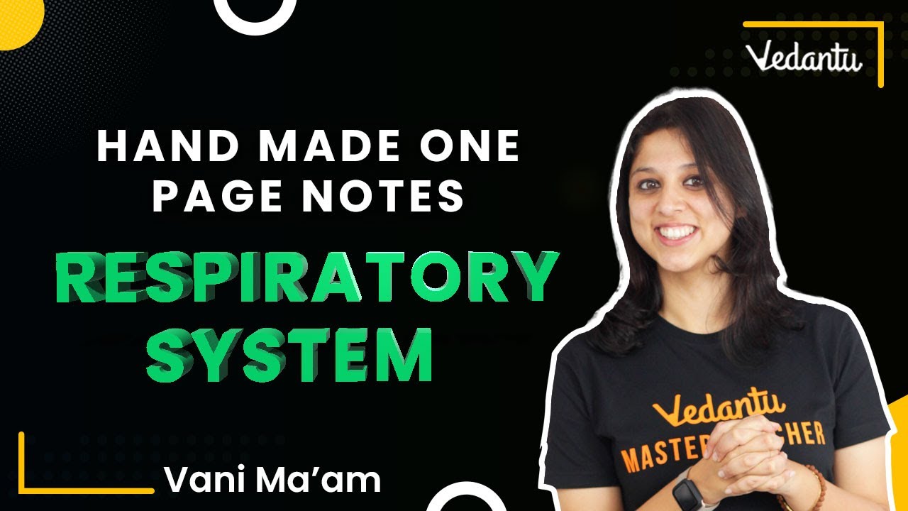 Respiratory System | Hand Made One Page Notes | Class 11 Biology | NEET ...