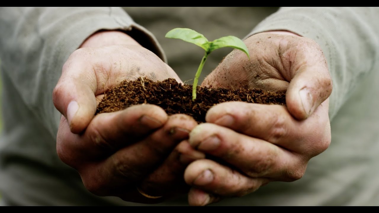 Welcome To Cannabidiol Life --- Experience The Difference - YouTube