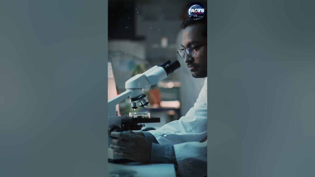 प्रशांत महासागर की गहराई में रहस्यमयी छेद | Pacific Ocean | Facts Mania - YouTube