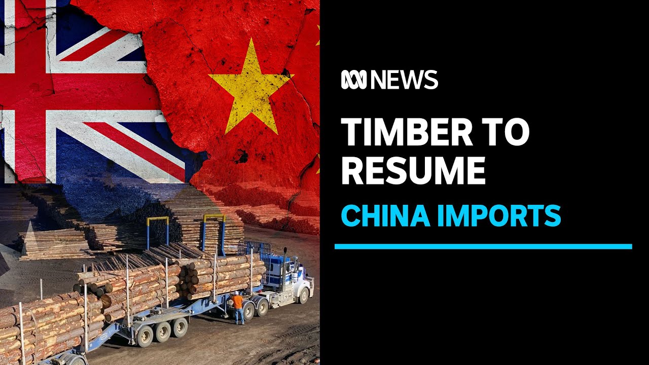 China will resume Australian timber trade imports, ambassador says ...
