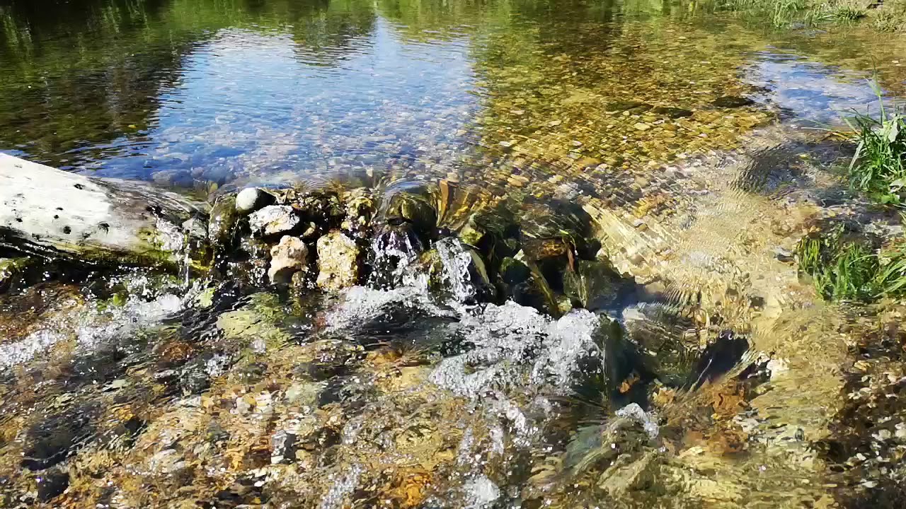 Clear Water YouTube clear-water-youtube
