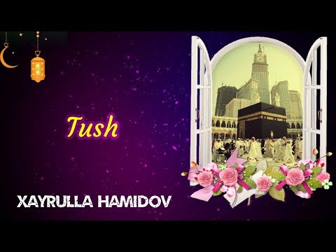 Tush | Xayrulla Hamidov